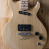 Guardian - Gordon Smith Guitars