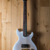 Guardian - Gordon Smith Guitars