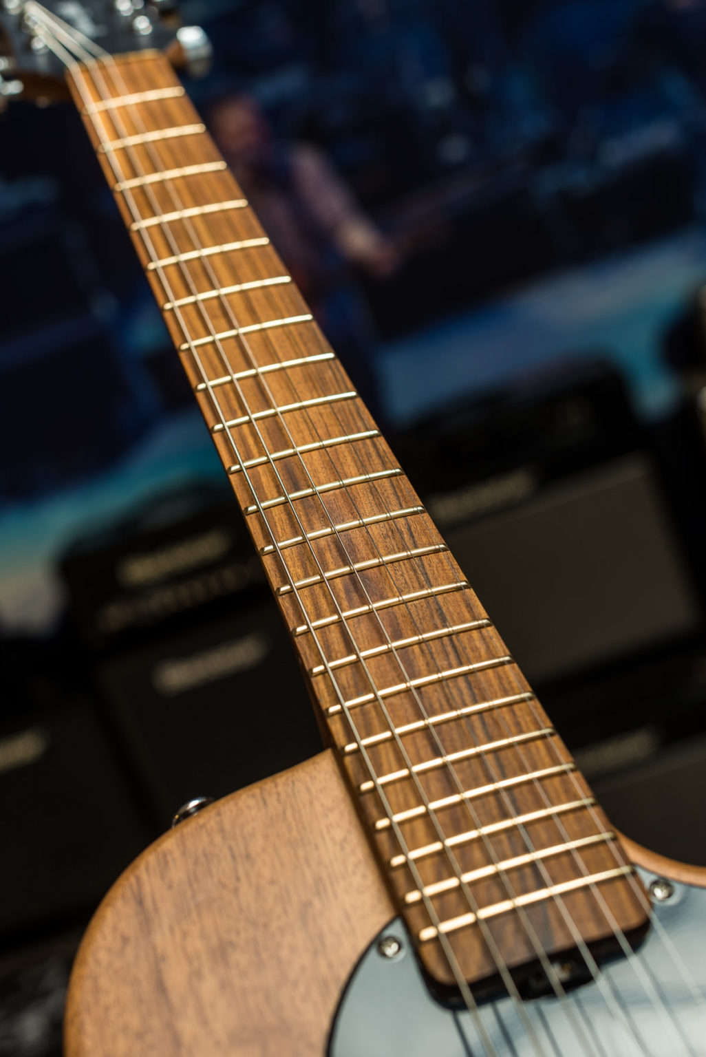 Pau Ferro Fretboard - Gordon Smith Guitars