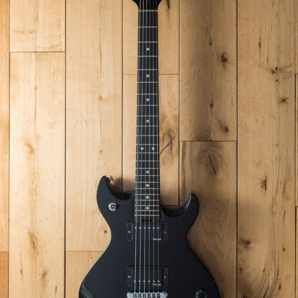 Guardian - Gordon Smith Guitars